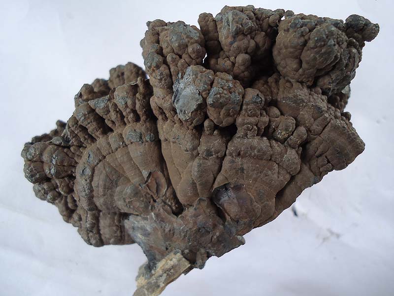 Brastones - Collection Minerals, São Paulo, Br dealers of collection ...